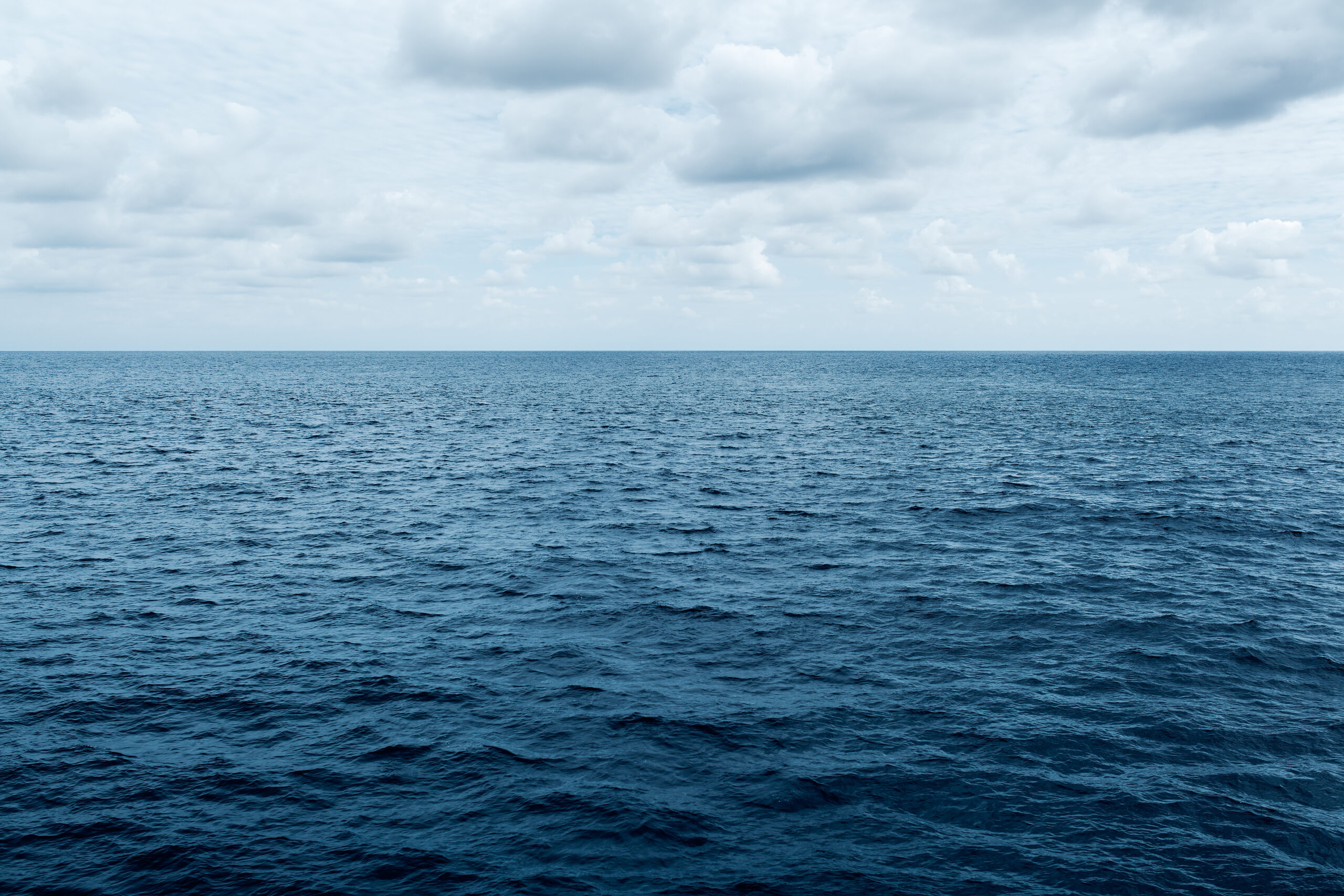 Northern Cod Return and MSC Certification Big news at Barcelona Global ...